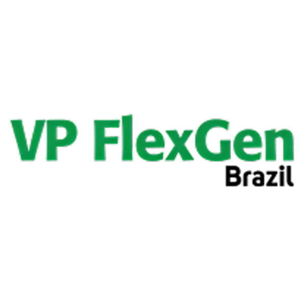 Notícias | VP FlexGen Brazil | Empresa do grupo Vpower